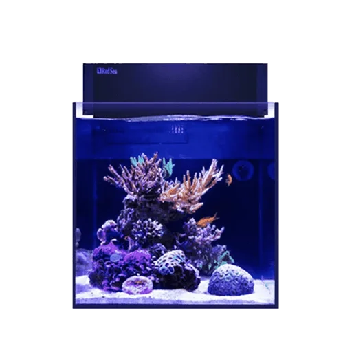 All-in-One Aquariums | Complete Reef Tank Systems – Top Shelf Aquatics