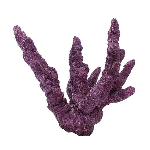 Live Rock Branches – Top Shelf Aquatics