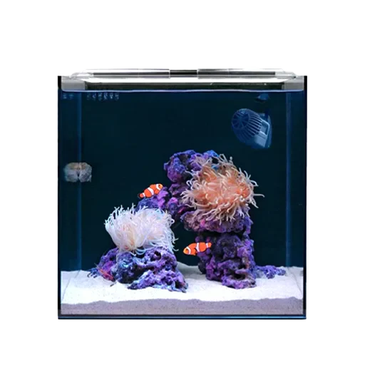 Nano Aquariums | Compact Saltwater Reef Tanks for Every Space – Top ...