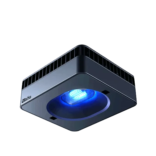 Red Sea Aquarium Lighting | ReefLED Lights for Coral Growth & Control ...