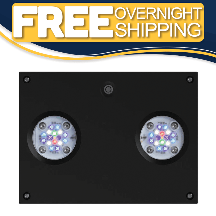 Aqua Illumination Lighting – Top Shelf Aquatics