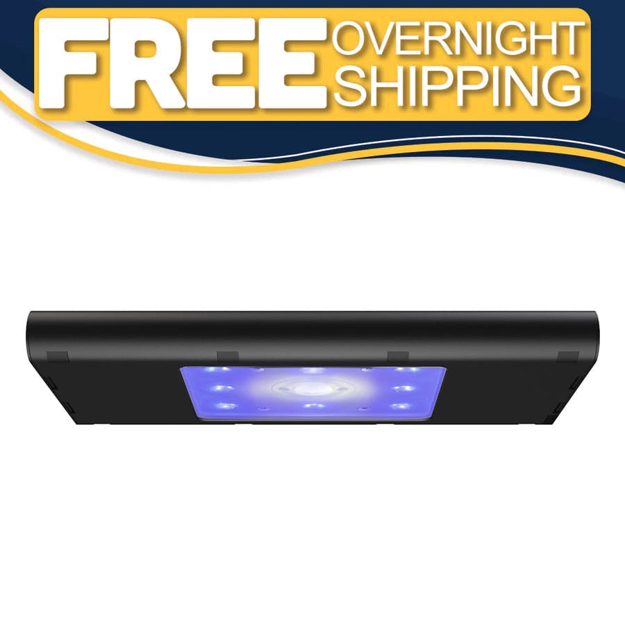 Hydra Edge 44 HD LED Reef Light - Aqua Illumination – Top Shelf Aquatics