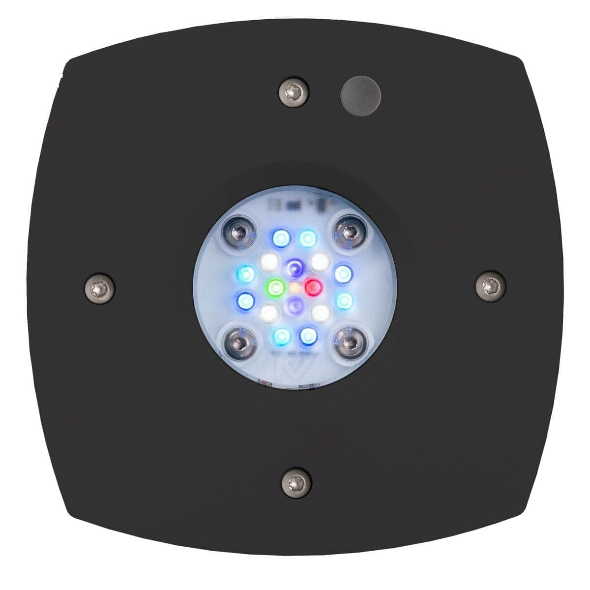Prime 16 HD LED Reef Light - Black Body - Aqua Illumination – Top Shelf ...