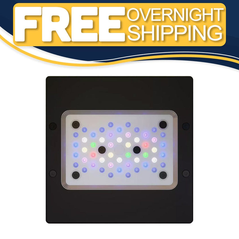Ecotech Marine Radion Lighting | Advanced Aquarium LED Lights for Reef ...
