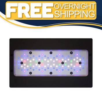 Ecotech Marine Radion Lighting | Advanced Aquarium LED Lights for Reef ...