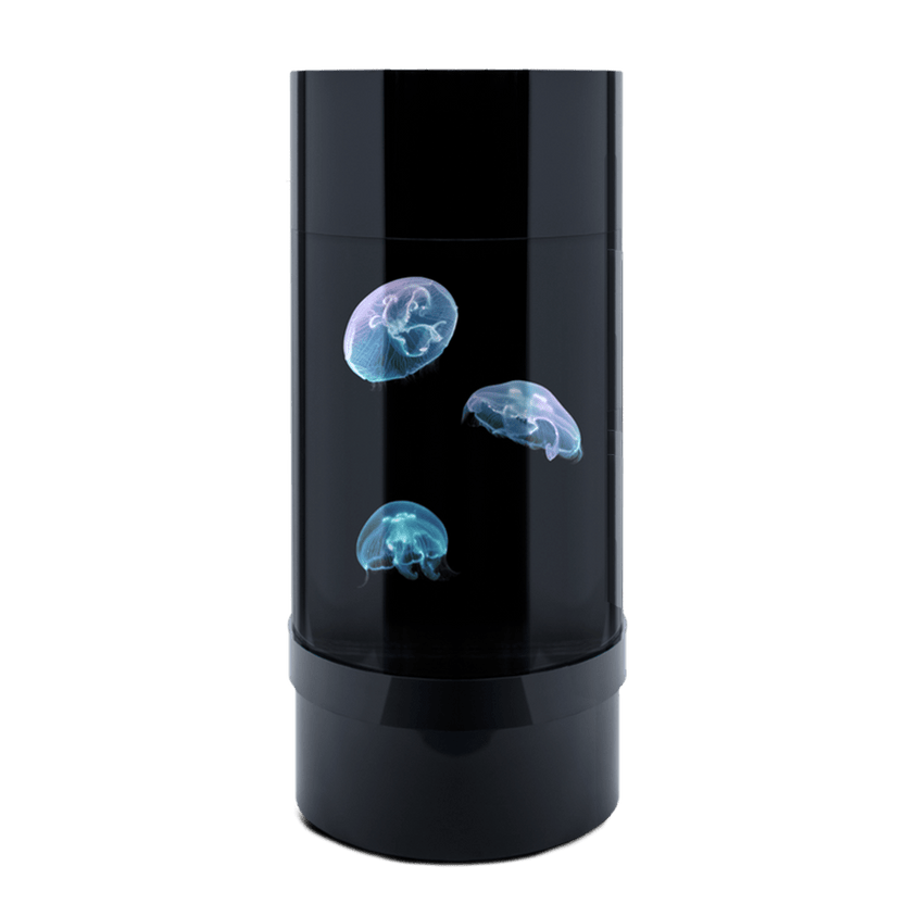 Jellyfish Art Aquariums | Kits & Tanks for Live Jellyfish – Top Shelf ...