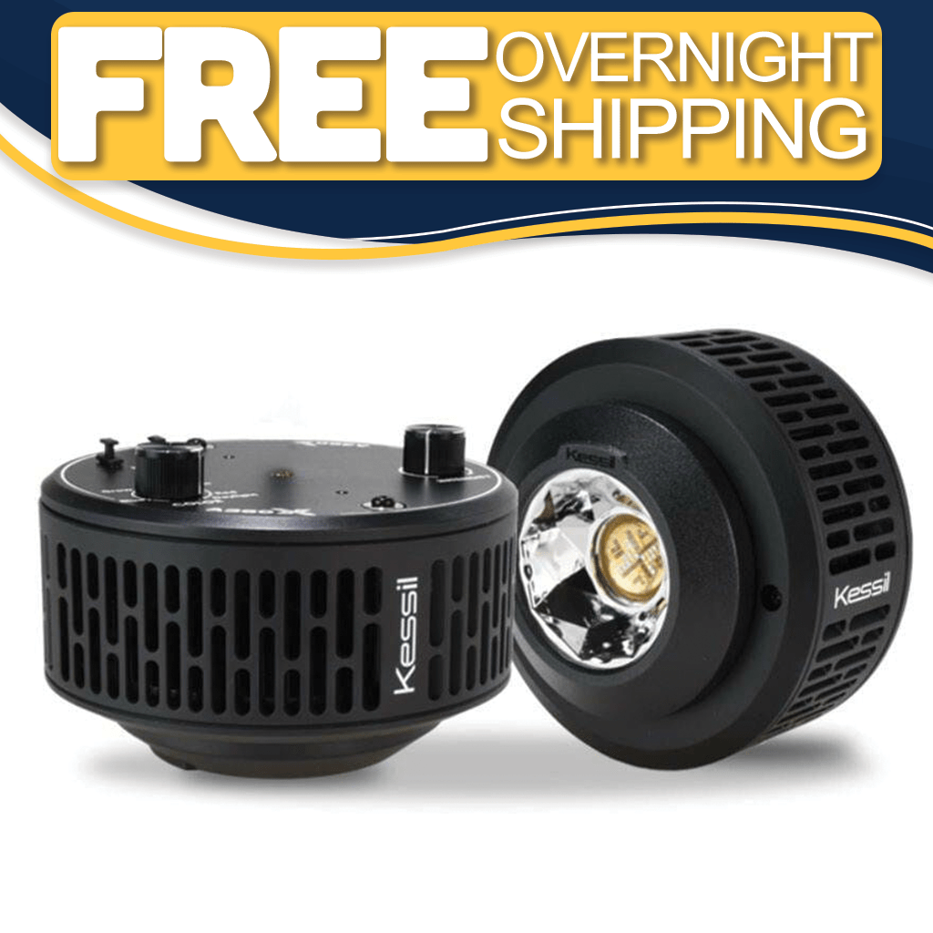Kessil Lighting | High-Performance LED Reef Lights for Vibrant Coral ...