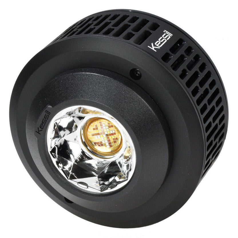 Kessil Lighting | High-Performance LED Reef Lights for Vibrant Coral ...