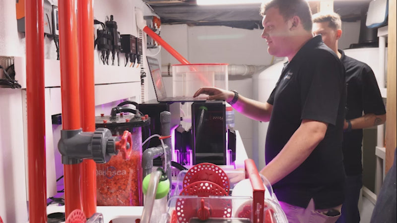 Custom Aquarium Installation Experts | Top Shelf Aquatics – Top Shelf Aquatics