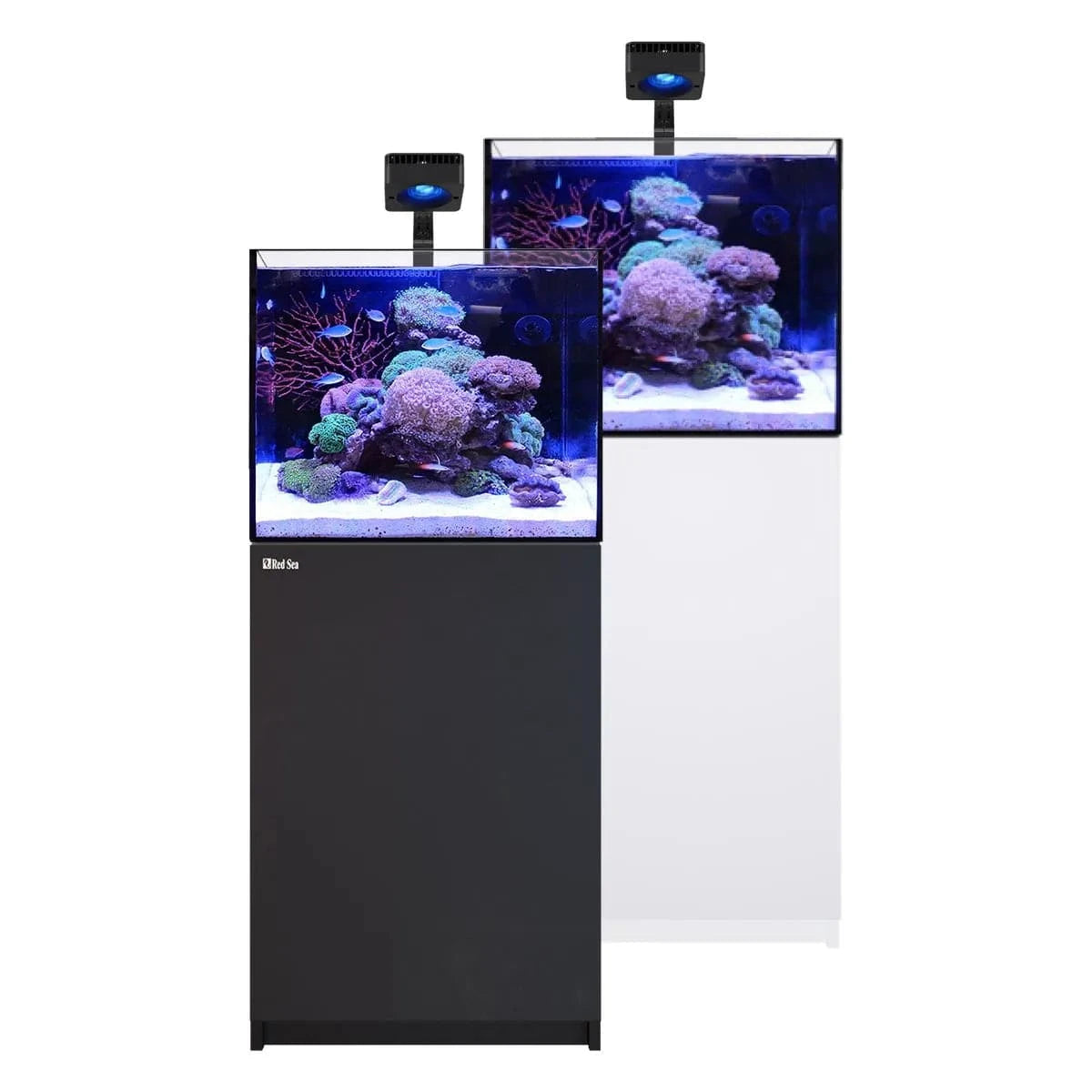 REEFER Deluxe 170 G3 (43.6 Gal) (incl. 1 x ReefLED 115) - Red Sea – Top ...