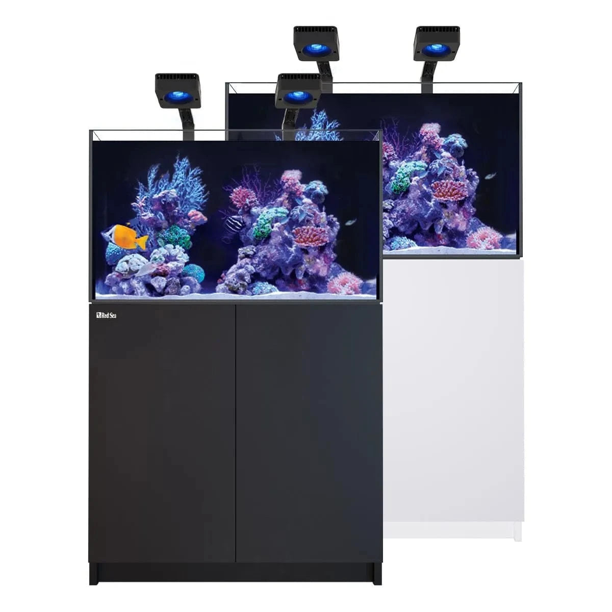 REEFER Deluxe 250 G3 (64.8 Gal) (incl. 2 x ReefLED 115) - Red Sea – Top ...
