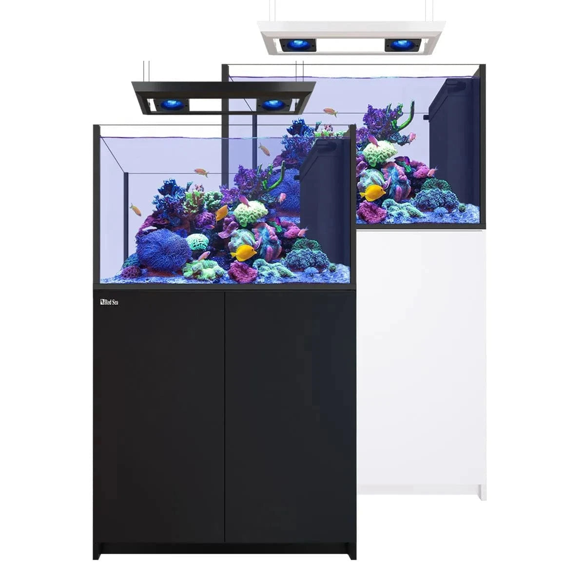 REEFER Deluxe Peninsula 350 G3 (93 Gal) (incl. 2 x ReefLED 115) - Red ...