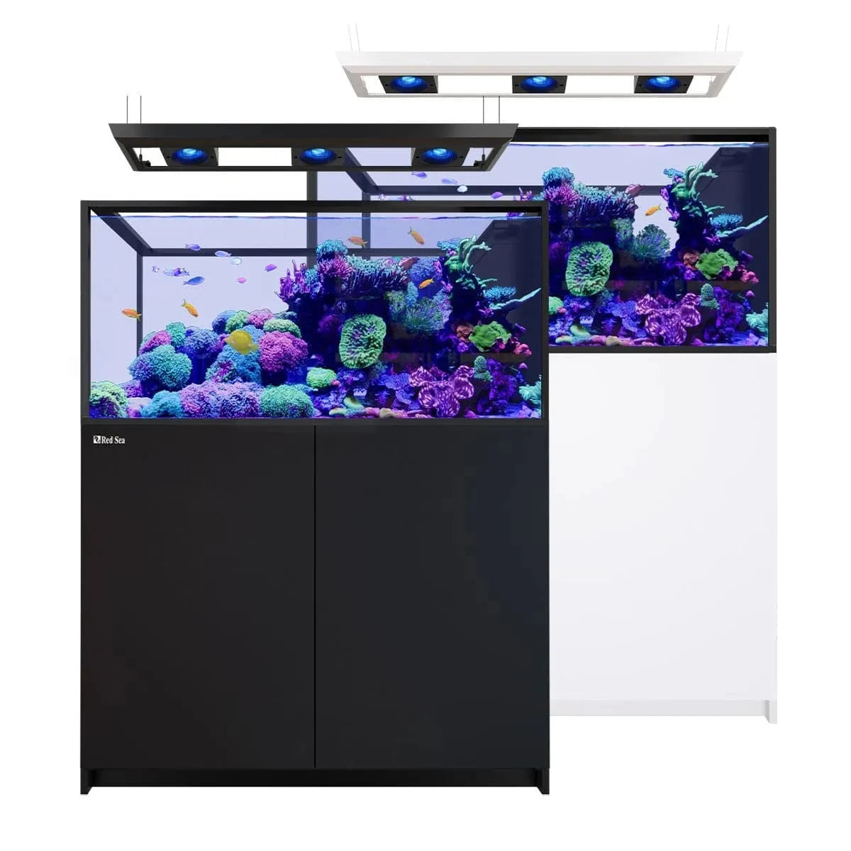 REEFER Deluxe Peninsula 500 G3 (137.1 Gal) (incl. 3 x ReefLED 115) - R ...