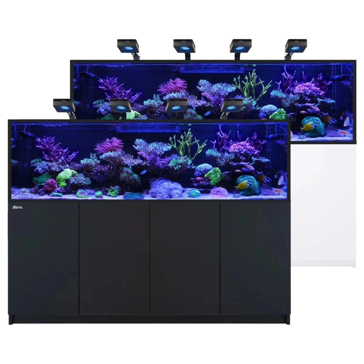 REEFER Deluxe S-1000 G3 (264.2 Gal) (incl. 4 x ReefLED 170) - Red Sea ...