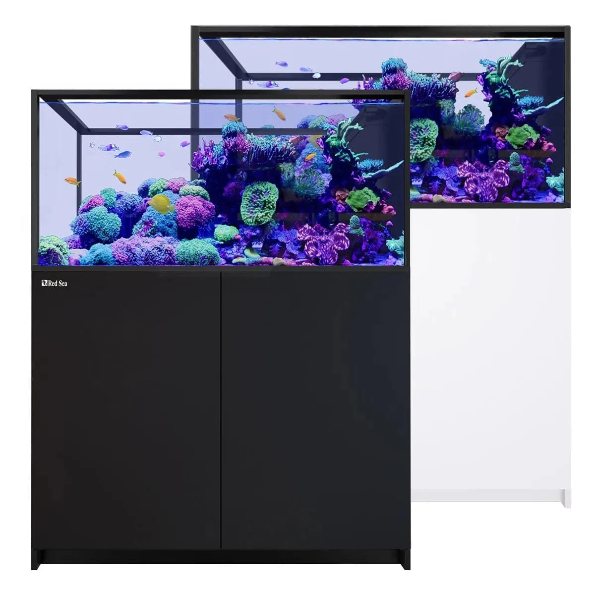 REEFER Peninsula 500 G3 (137.1 Gal) - Red Sea – Top Shelf Aquatics