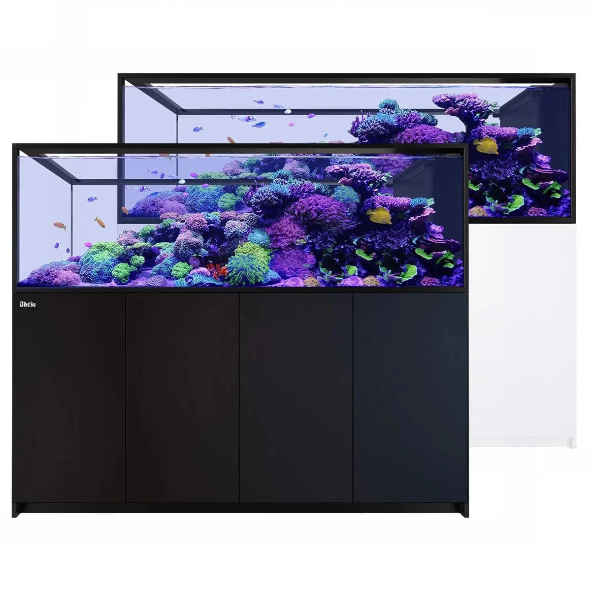 REEFER Peninsula S-950 G3 (250.2 Gal) - Red Sea – Top Shelf Aquatics