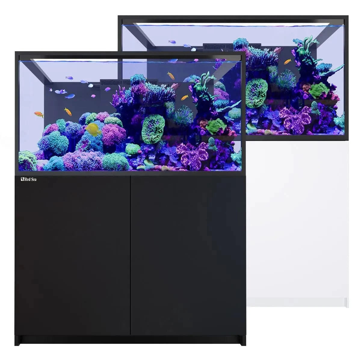 REEFER S-550 G3 (145.1 Gal) - Red Sea – Top Shelf Aquatics