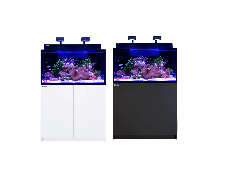 Red Sea MAX Aquariums | All-in-One Reef Systems for Sale – Top Shelf ...