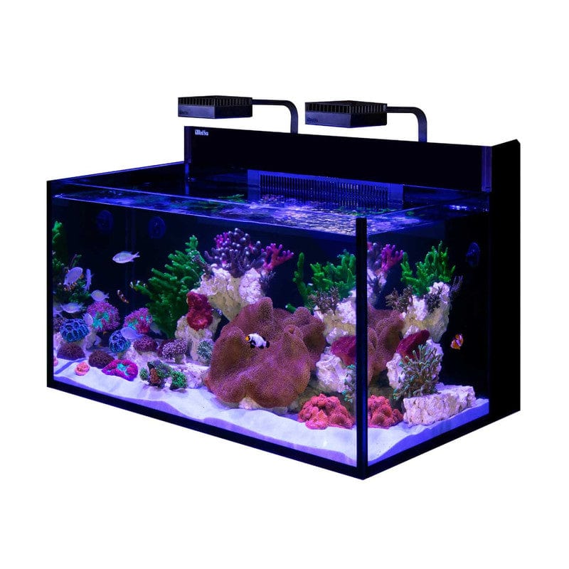 All-in-One Aquariums | Complete Reef Tank Systems – Top Shelf Aquatics