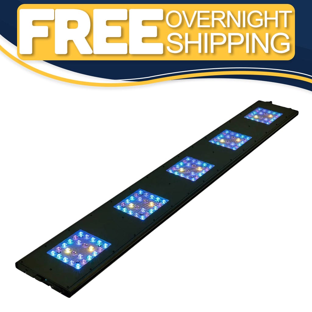 Reef Breeders Lights | Meridian Series LED Reef Lighting – Top Shelf ...
