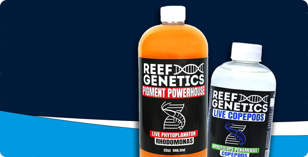 Top Shelf Aquatics - Live Corals, Aquariums Supplies and more