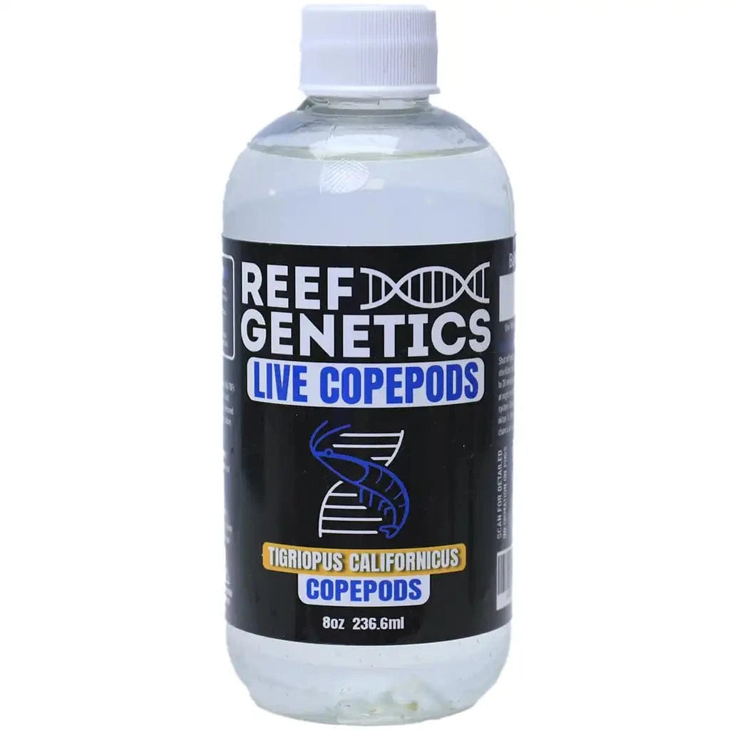 Live Tigriopus Copepods (Tigriopus californicus) - Reef Genetics – Top ...