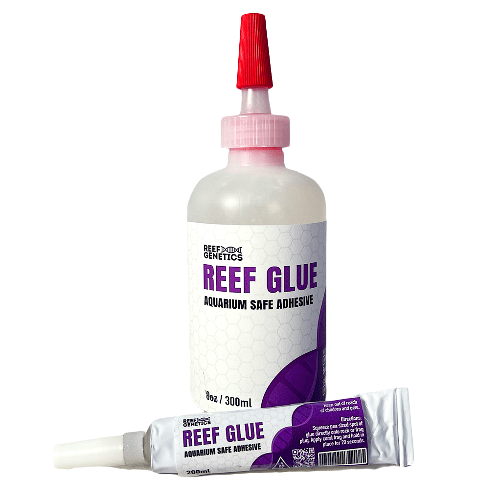 Reef Glue - Reef Genetics – Top Shelf Aquatics
