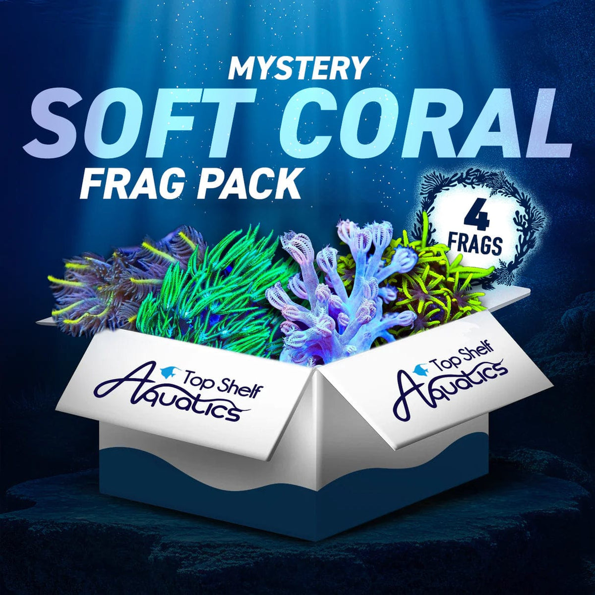 Mystery Soft Coral 4 Coral Frag Pack – Top Shelf Aquatics