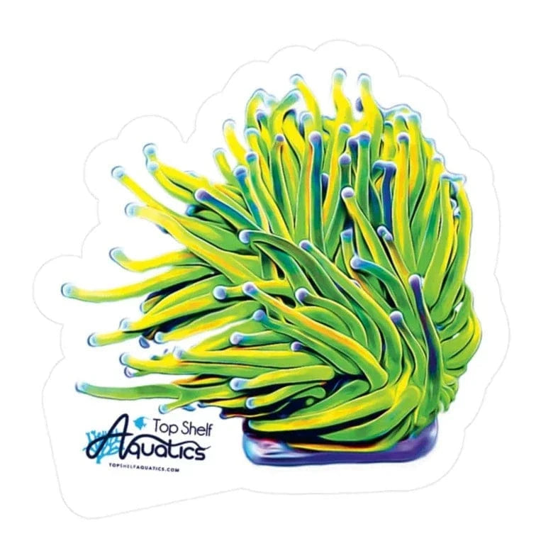 TSA Holy Grail Torch Sticker – Top Shelf Aquatics